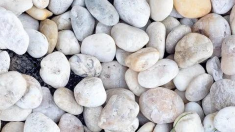 Shellcrete Intra State Terrazzo Sarasota FL