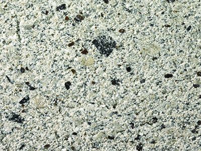 TerraNeo Intra State Terrazzo Sarasota FL